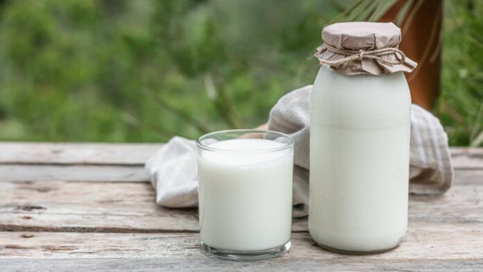 Saiba O Que É Leite Orgânico E Por Quê É Mais Nutritivo Que O – FZMNG
